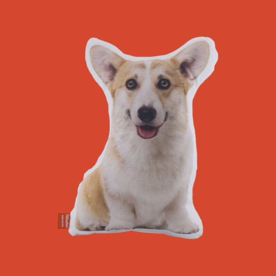 Custom Shaped Pillow · Pillowfied